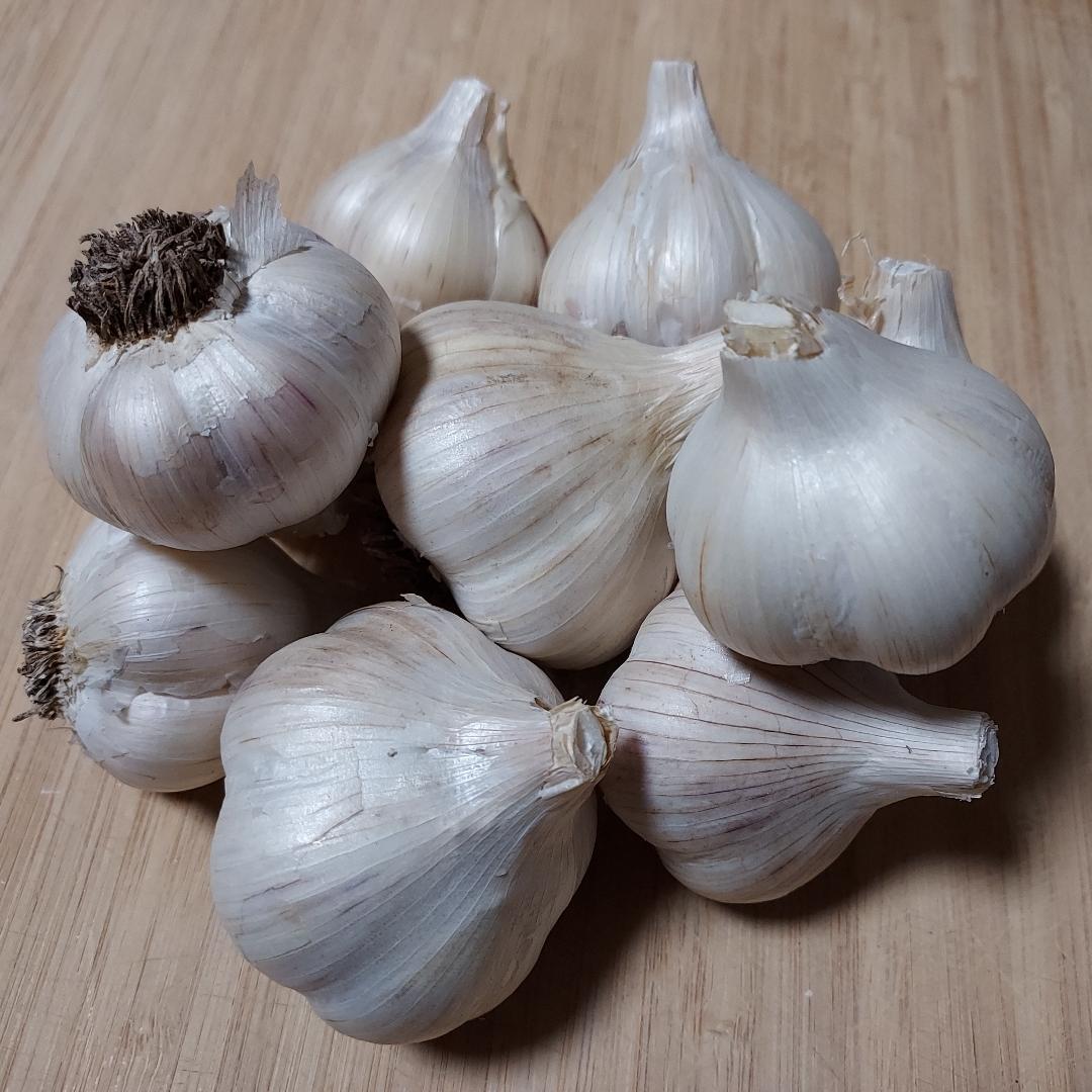 State Road Pizza (Pizza)